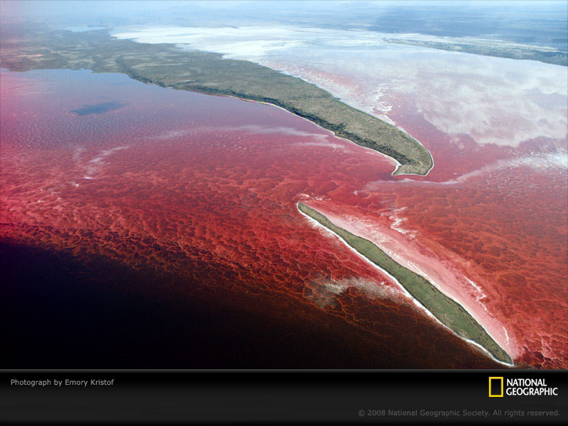 Life in colors. Today, Red – Informal.RO