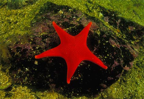 Life in colors. Today, Red – Informal.RO